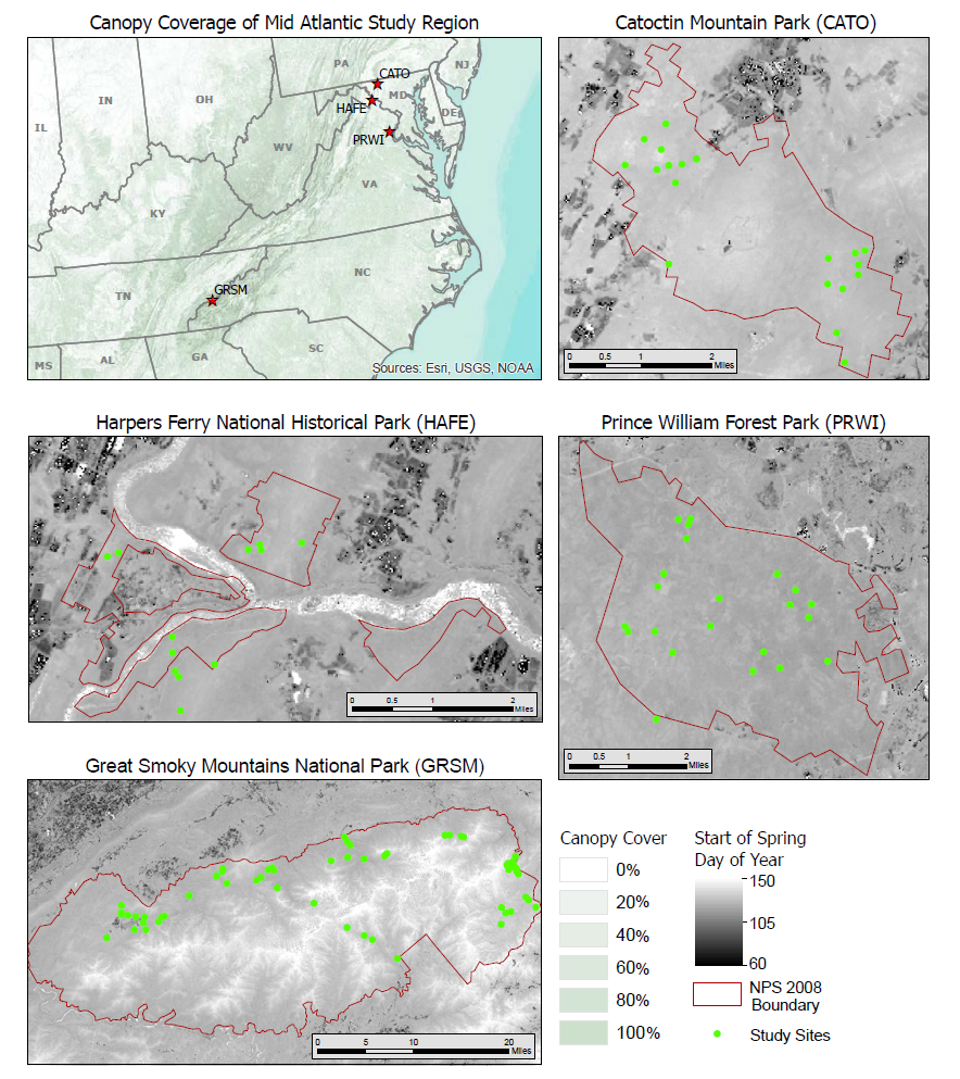 Landsat-based Phenology and Tree Ring Characterization, Eastern US ...